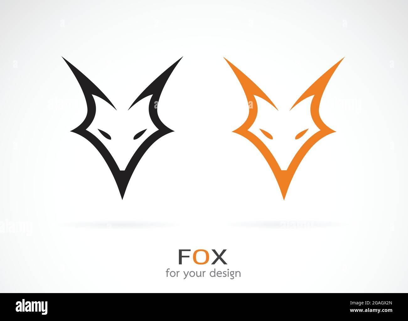 Vector image of an fox face design on white background Stock Vector ...