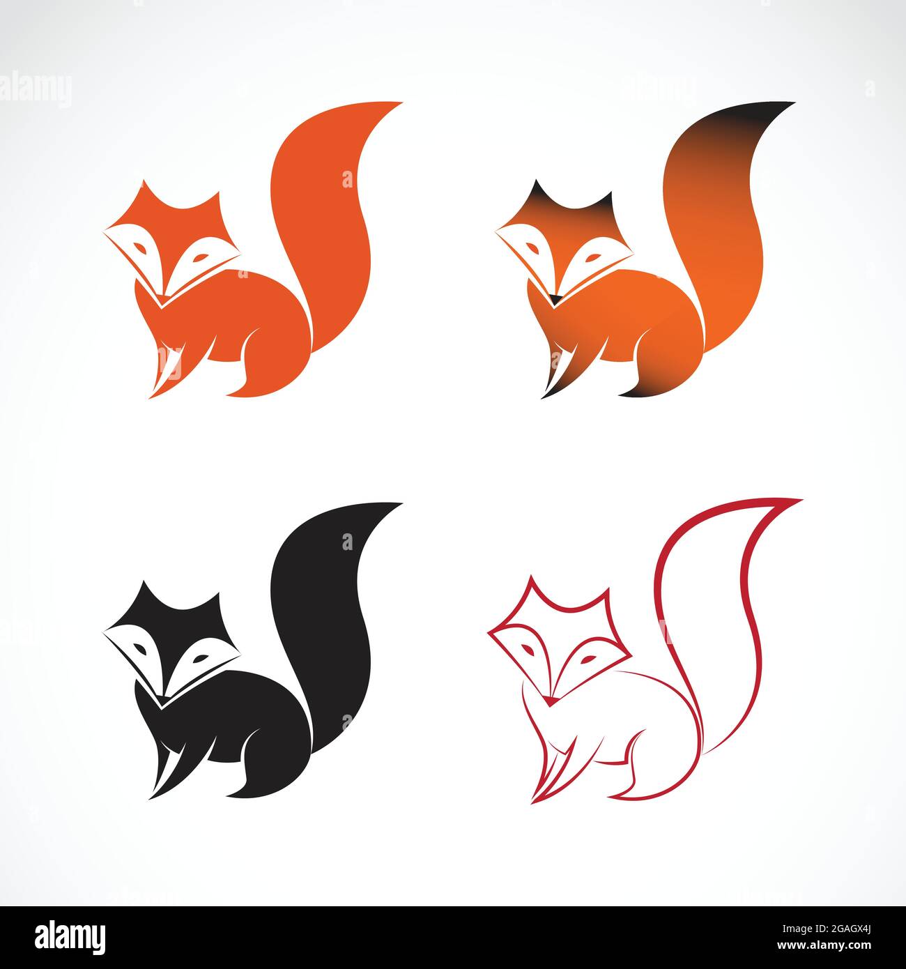 Vector image of an fox design on white background Stock Vector Image ...