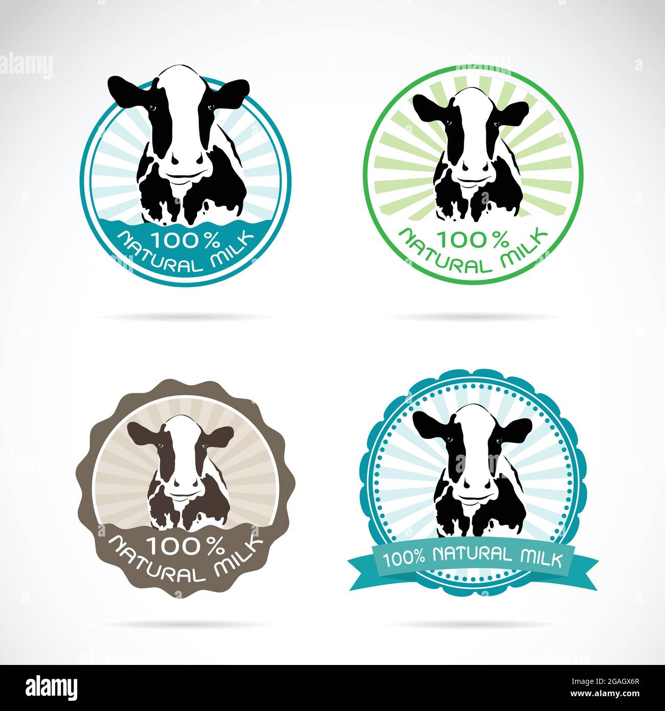 Set of vector an dairy cows label on white background Stock Vector ...