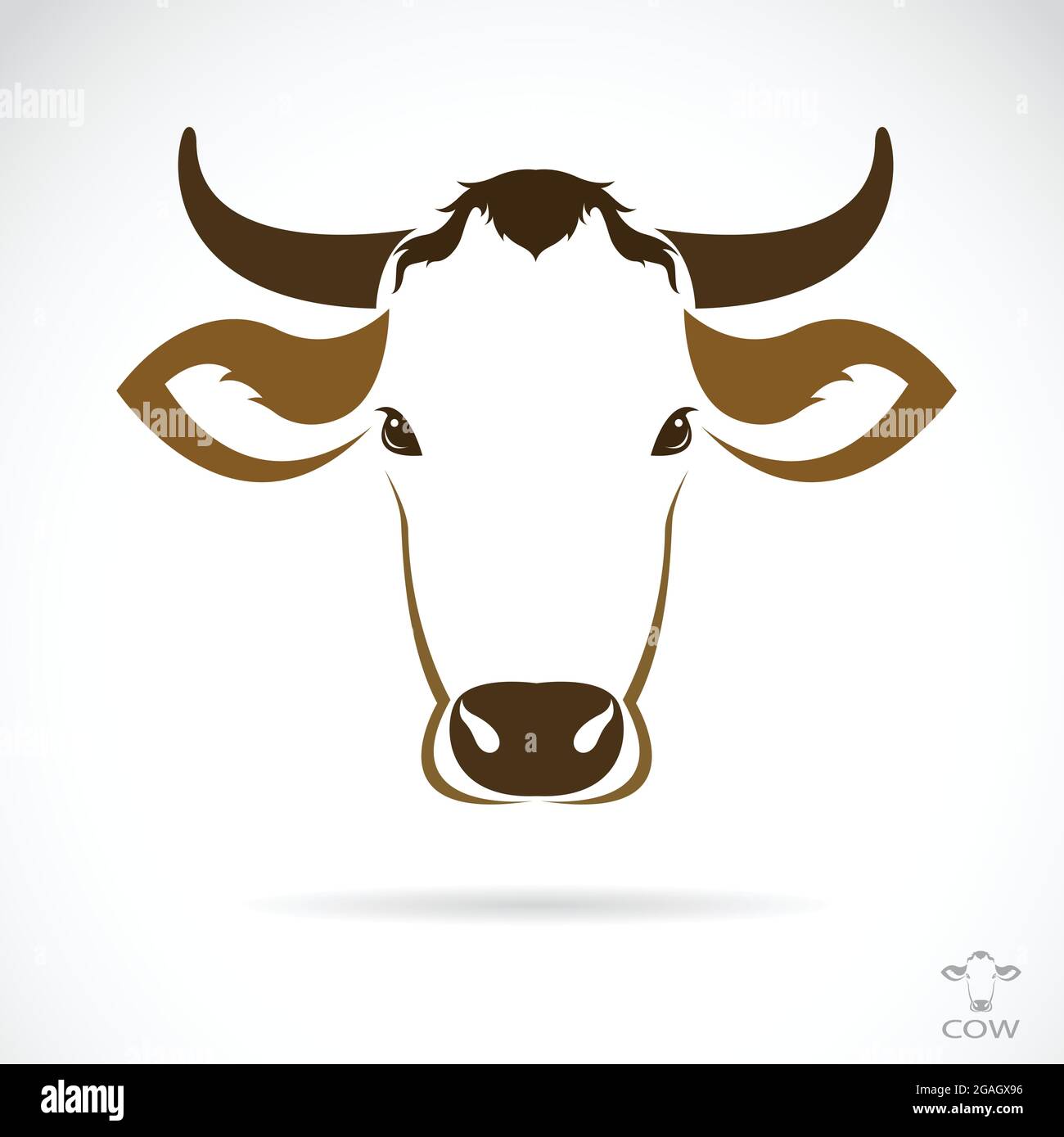 Black white dairy cow on Stock Vector Images - Alamy