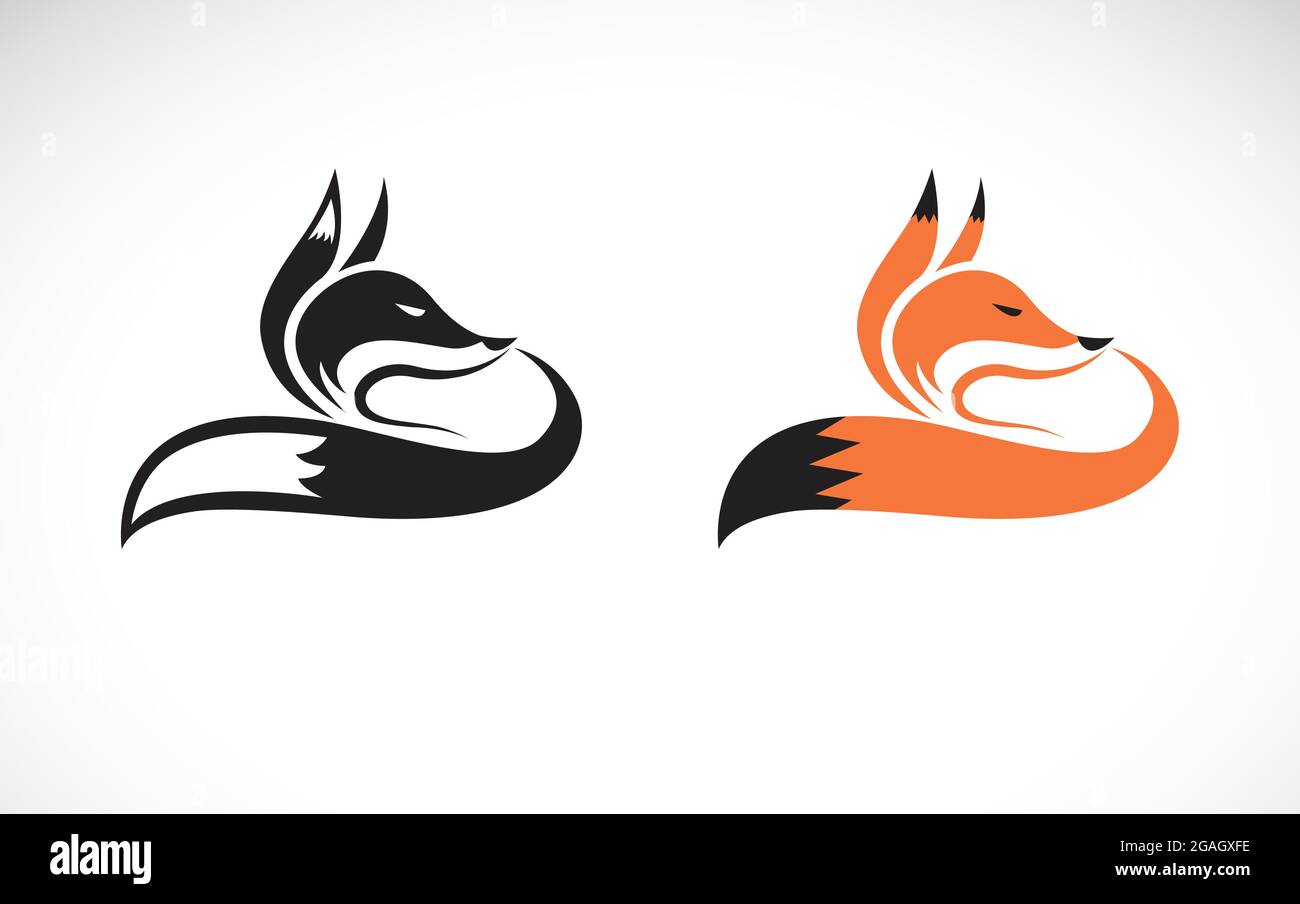 Vector of fox design on white background. Wild Animals. Easy editable ...