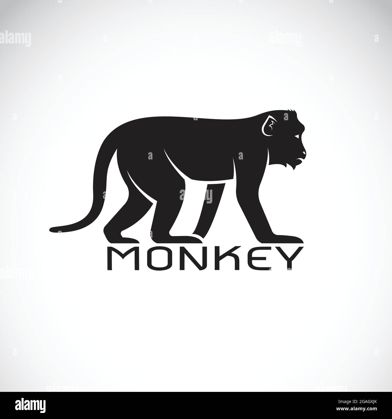 Monkey vector vectors hi-res stock photography and images - Alamy
