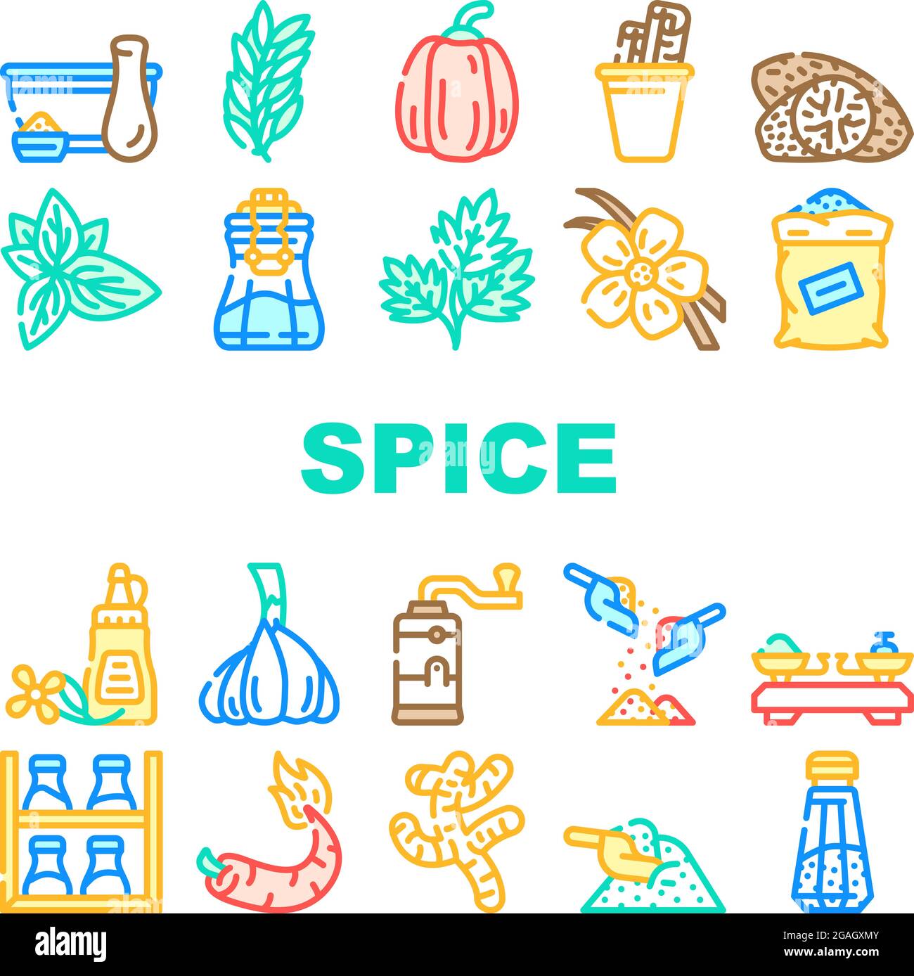 Spice Vegetable Food Collection Icons Set Vector Stock Vector Image ...