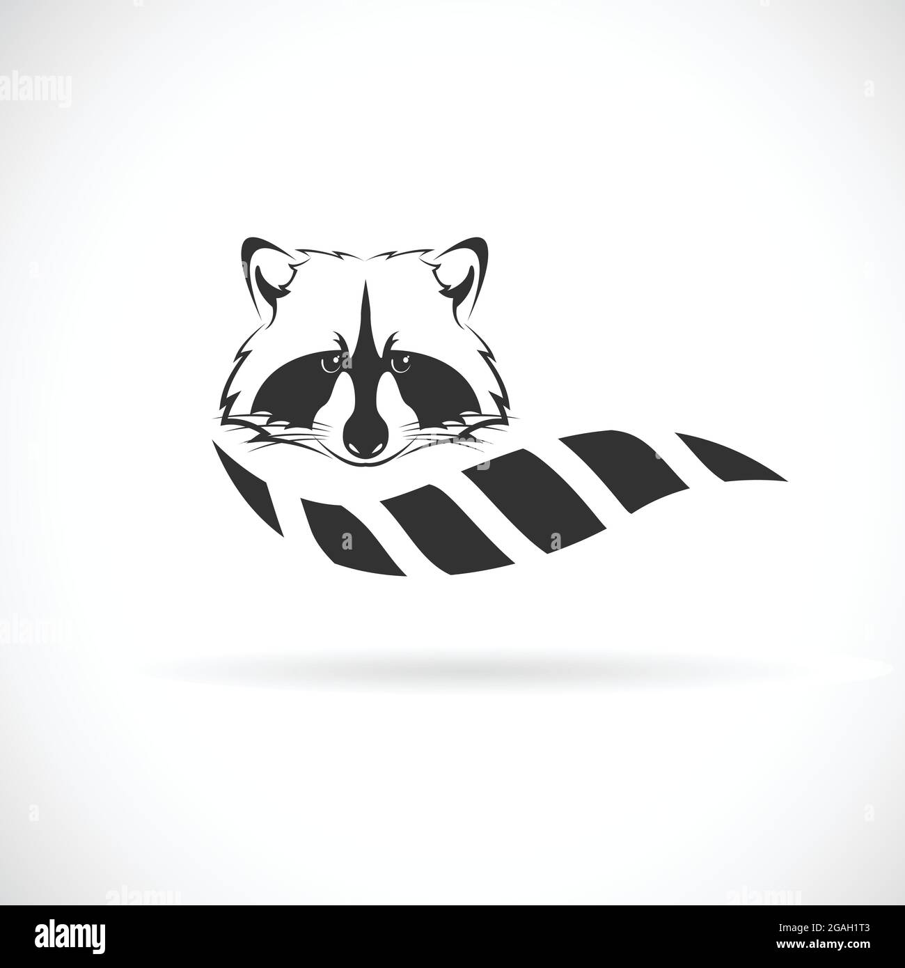 Vector of raccoon design on white background. Wild Animals. Raccoon ...