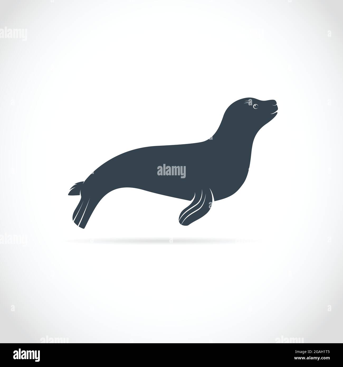 Vector images of sea lion on a white background. Easy editable layered ...