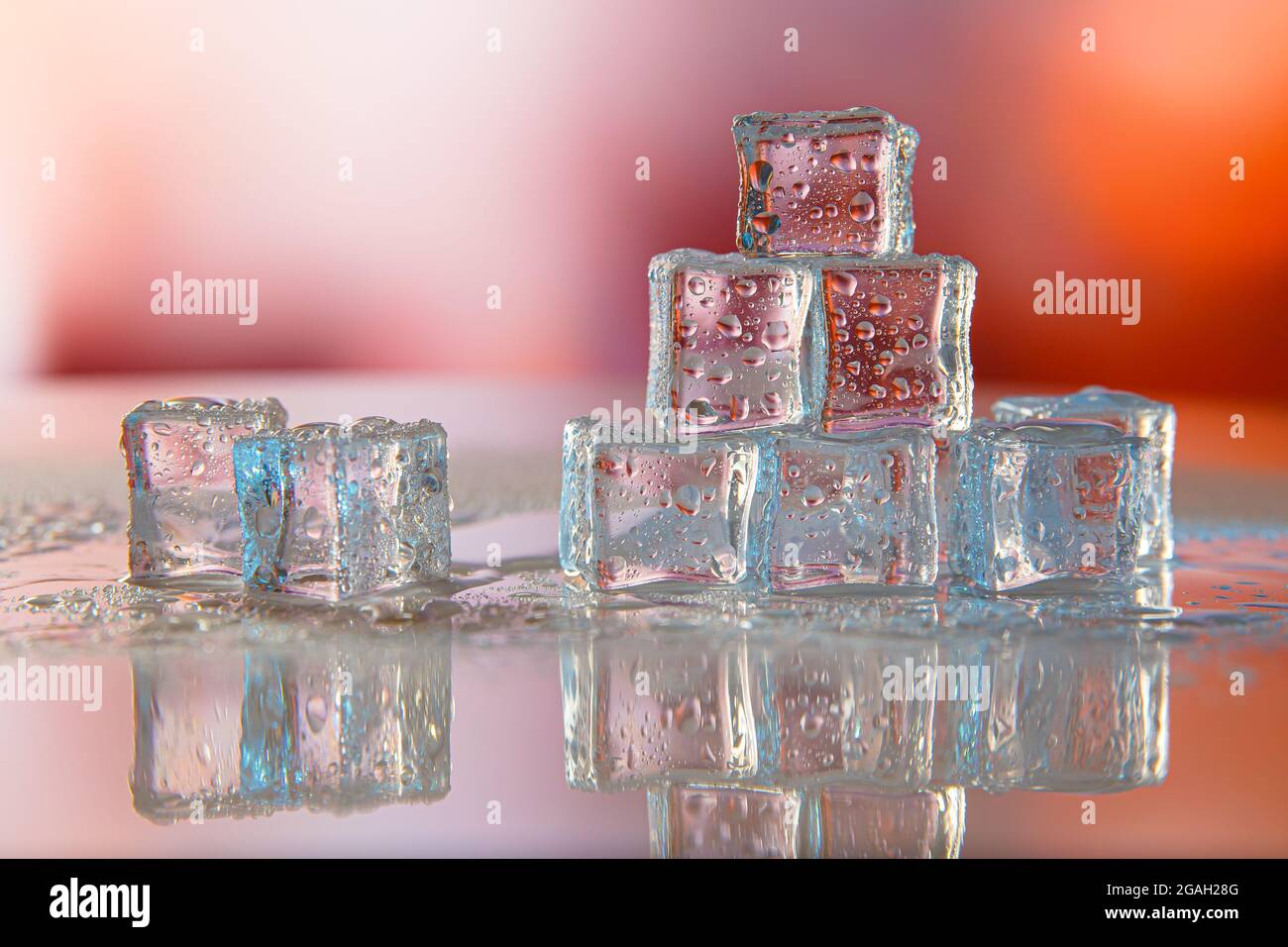 Melting ice with reflection on the background of multi-colored lights ...