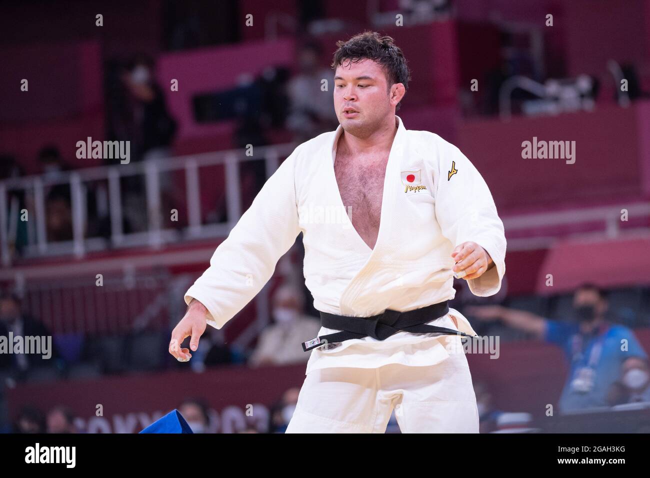 90 wolf hi-res stock photography and images - Alamy