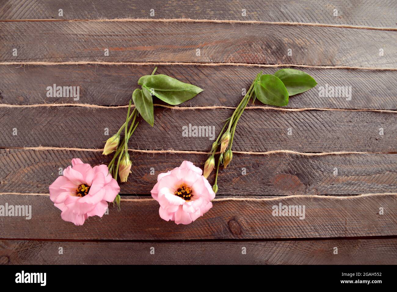 Creative music notes made of flowers on wooden background Stock Photo ...