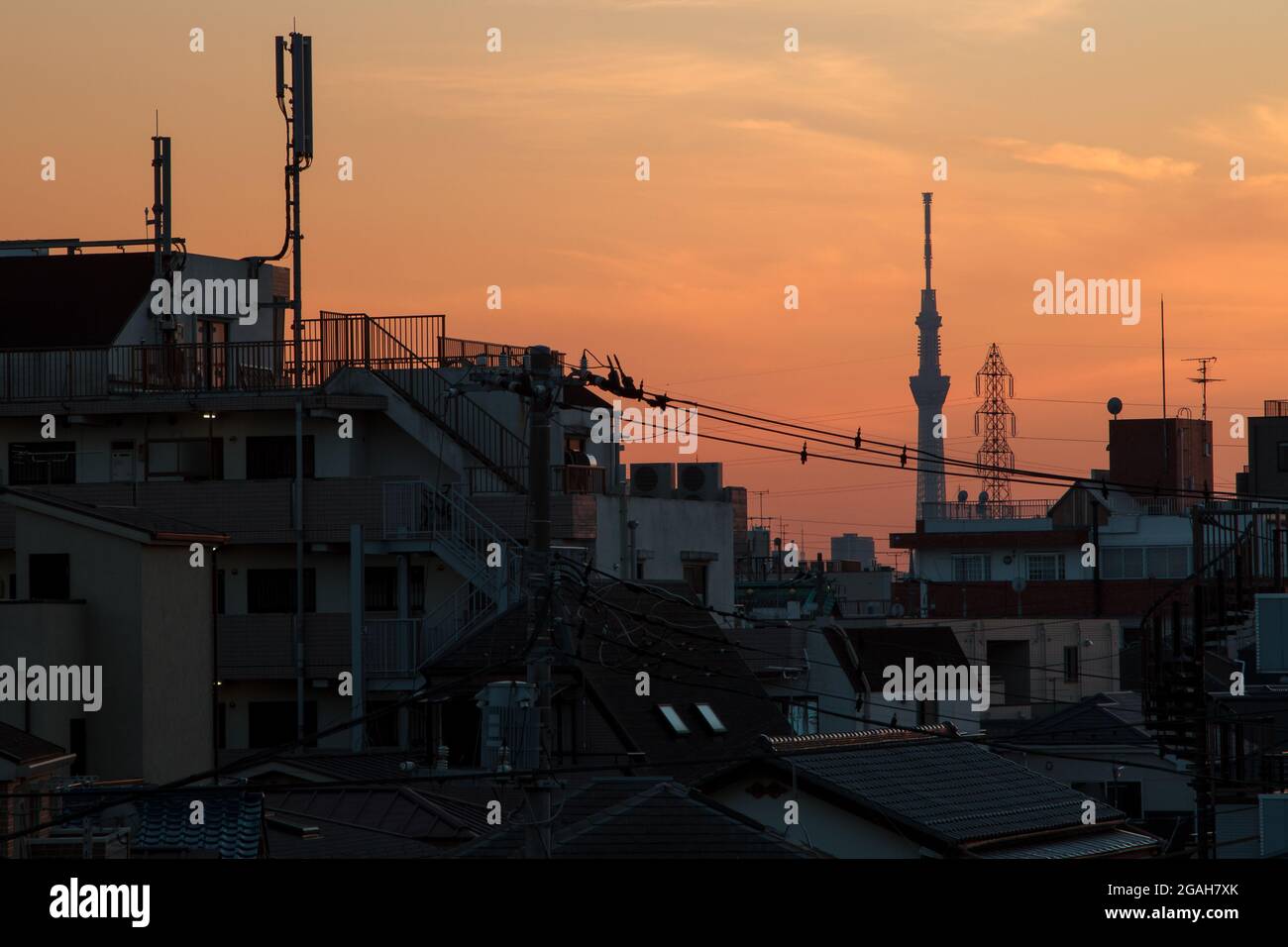 Skytree in silhouette at sunset seen above the rooftops of Shibamata ...