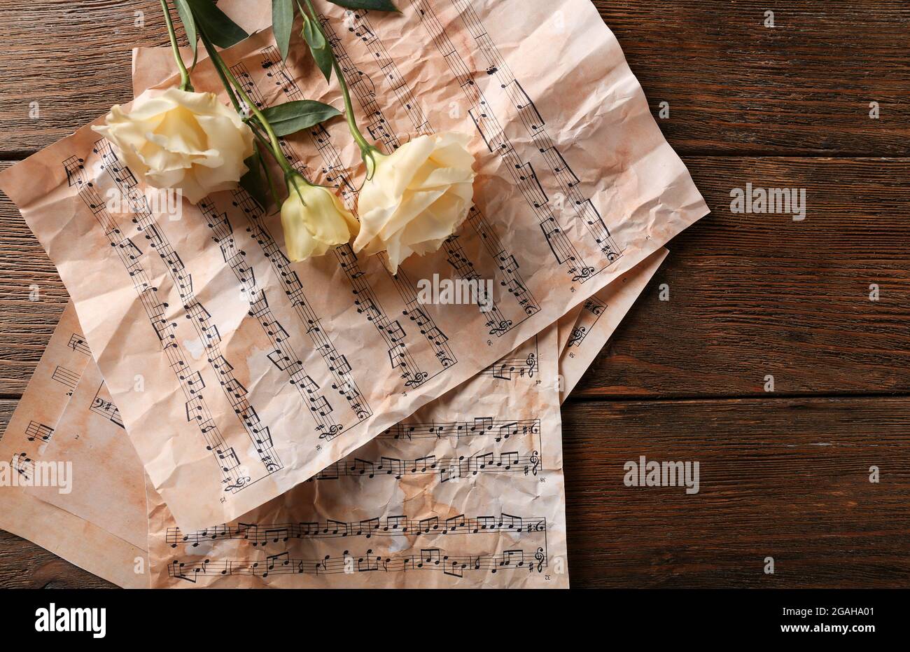 Beautiful white roses on musical notes pages background Stock Photo - Alamy