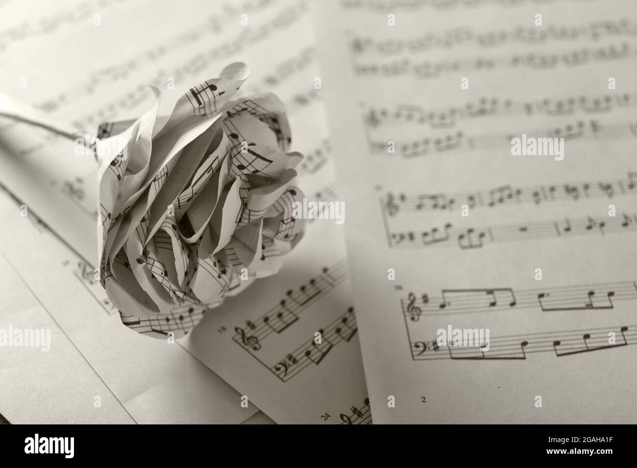 Single white paper-made rose on musical notes pages background Stock ...