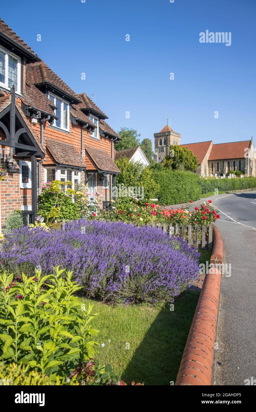 cottages and gardens in the village of chiddingfold in surrey Stock ...