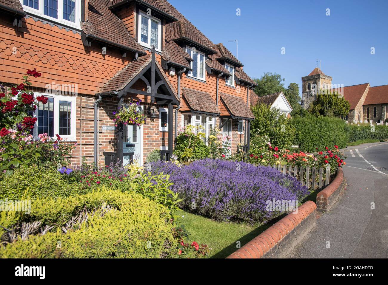 cottages and gardens in the village of chiddingfold in surrey Stock ...