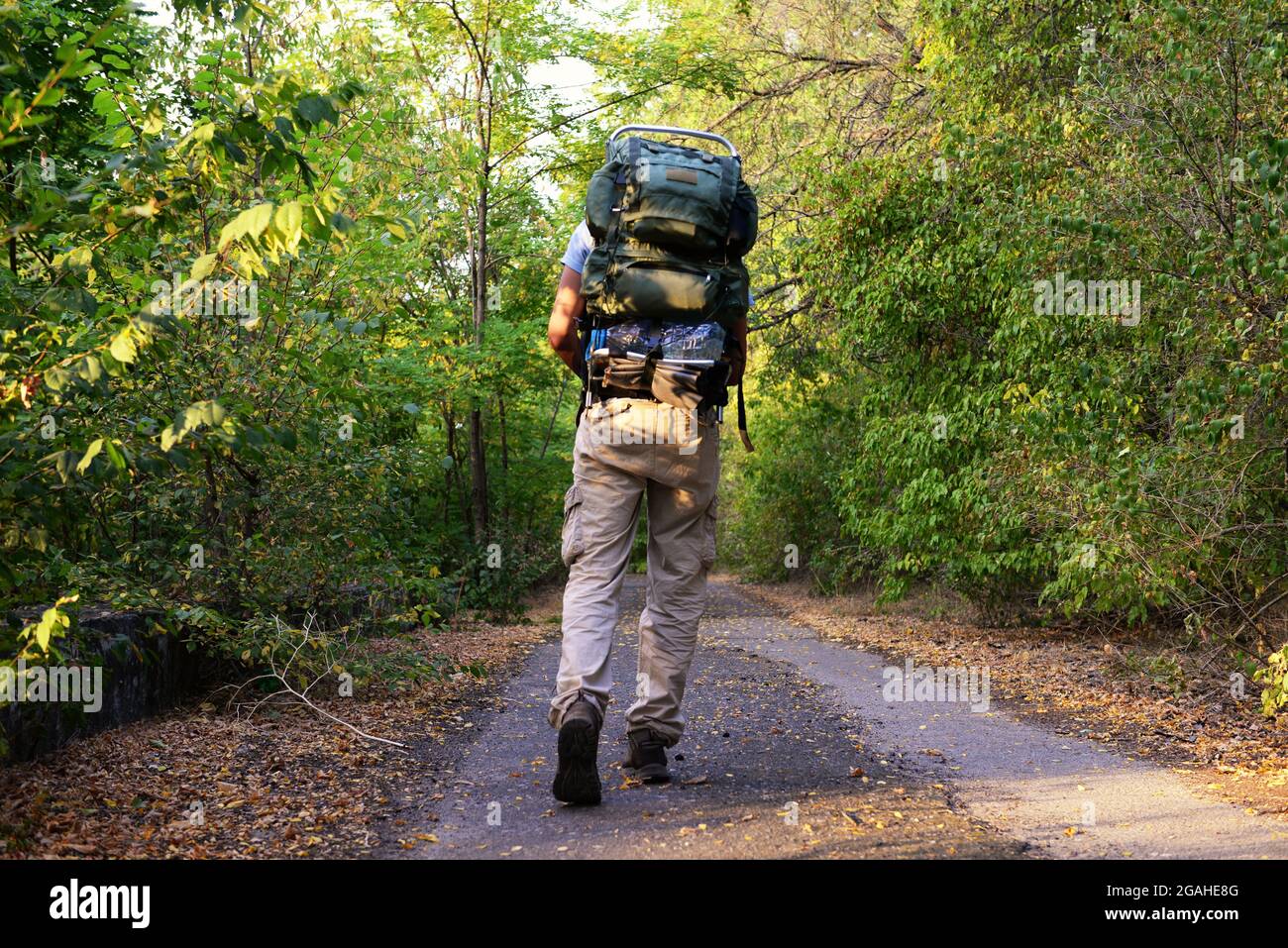 Tourist on path in the forest Stock Photo - Alamy