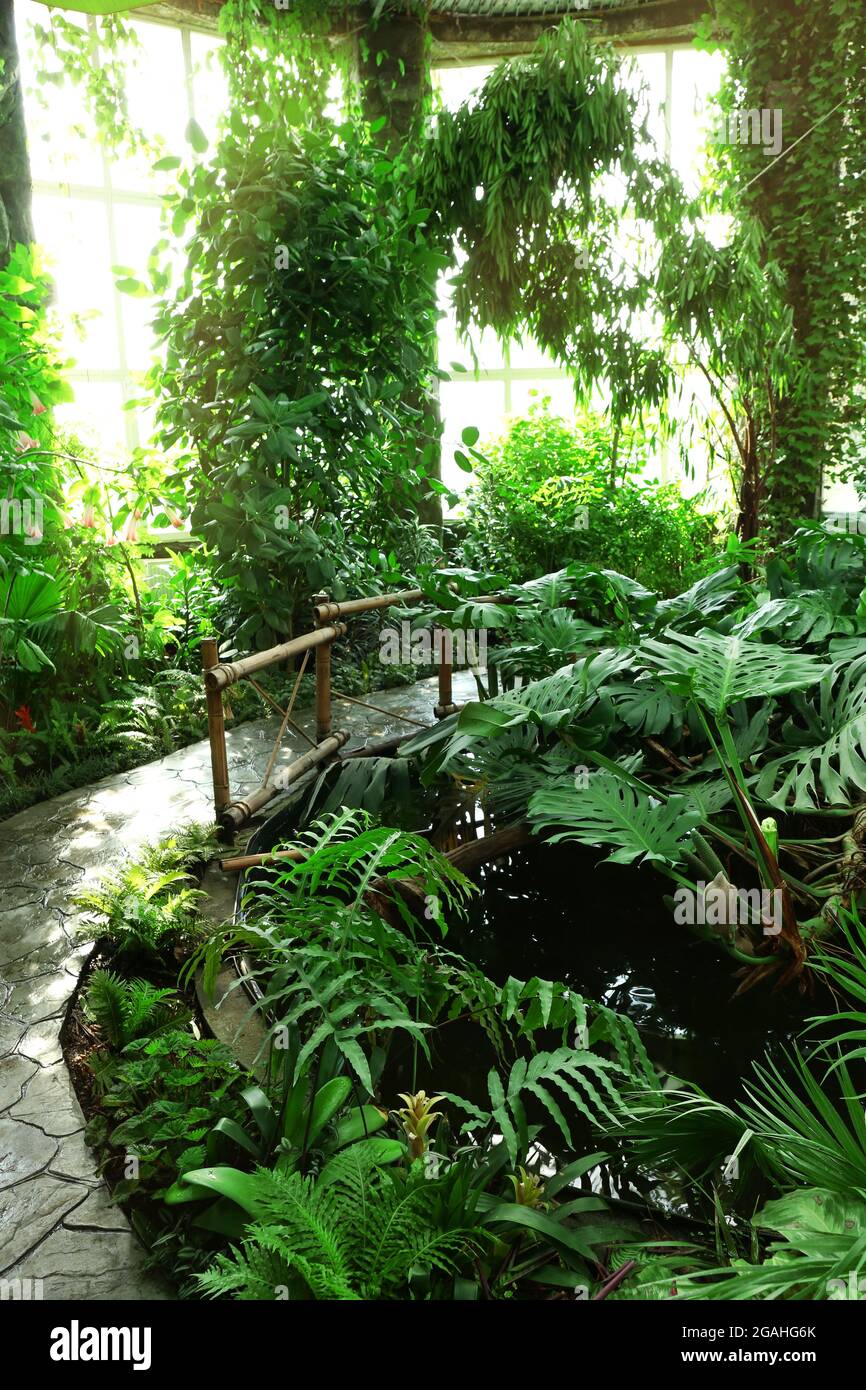 Tropical Plants in greenhouse at botanic garden Stock Photo - Alamy