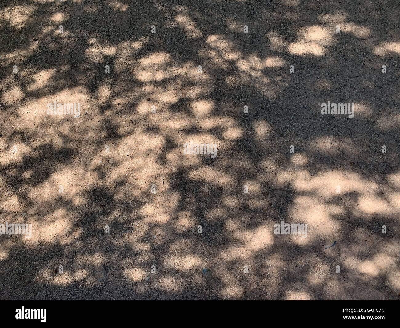 Abstract image with shadows of trees Stock Photo - Alamy