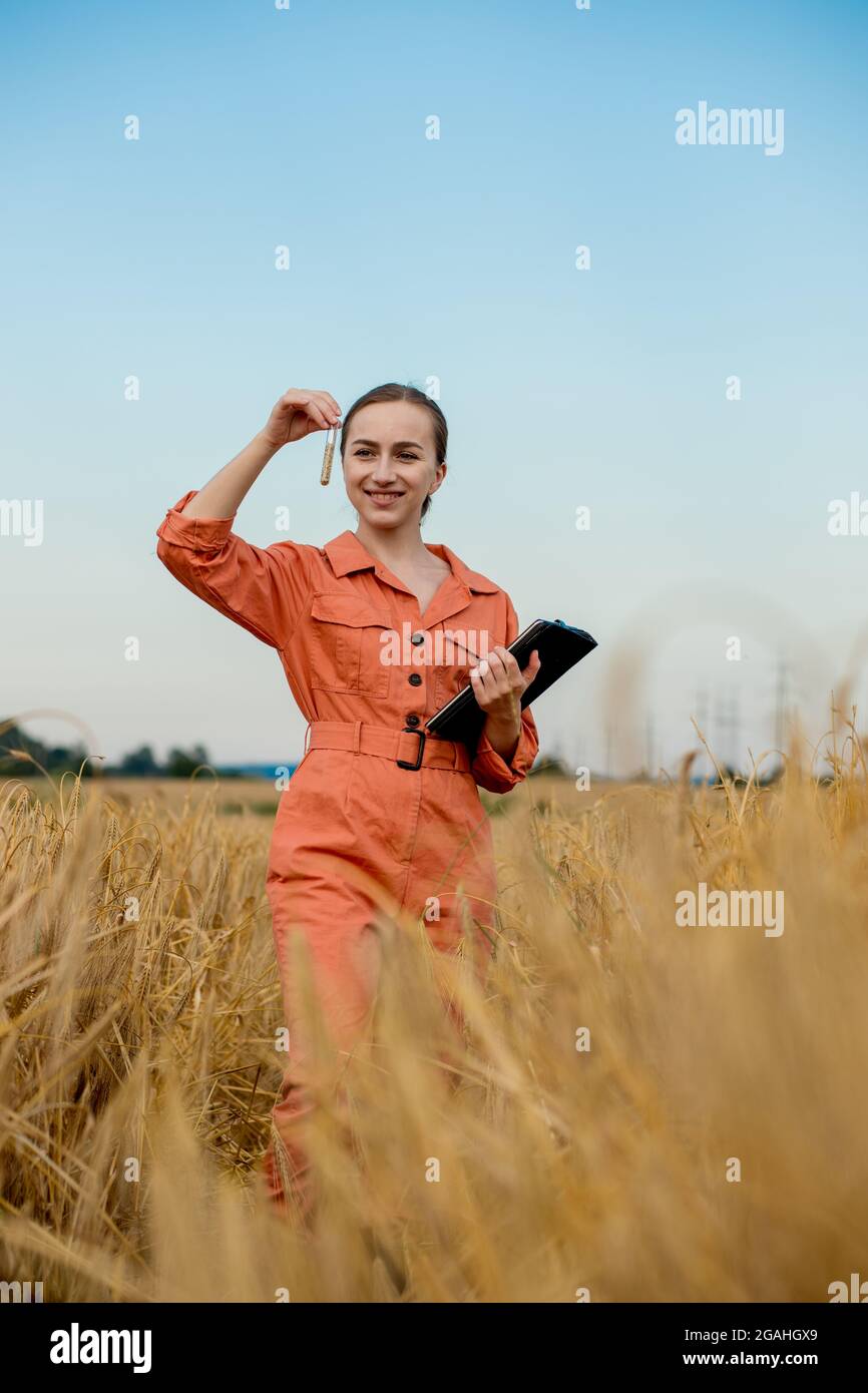 Agronomist holding test tube with barley grains in field, closeup ...