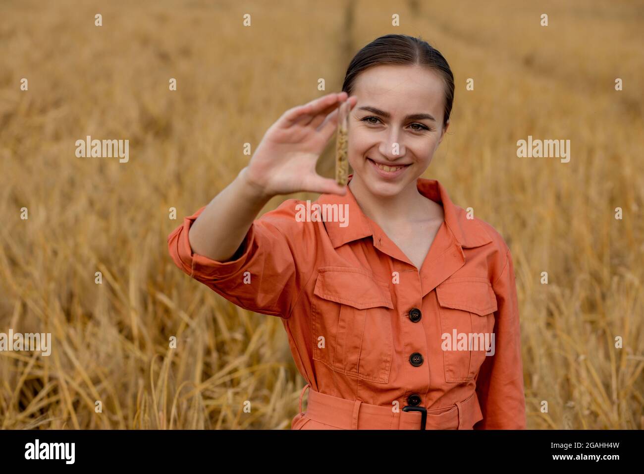 Agronomist holding test tube with barley grains in field, closeup ...