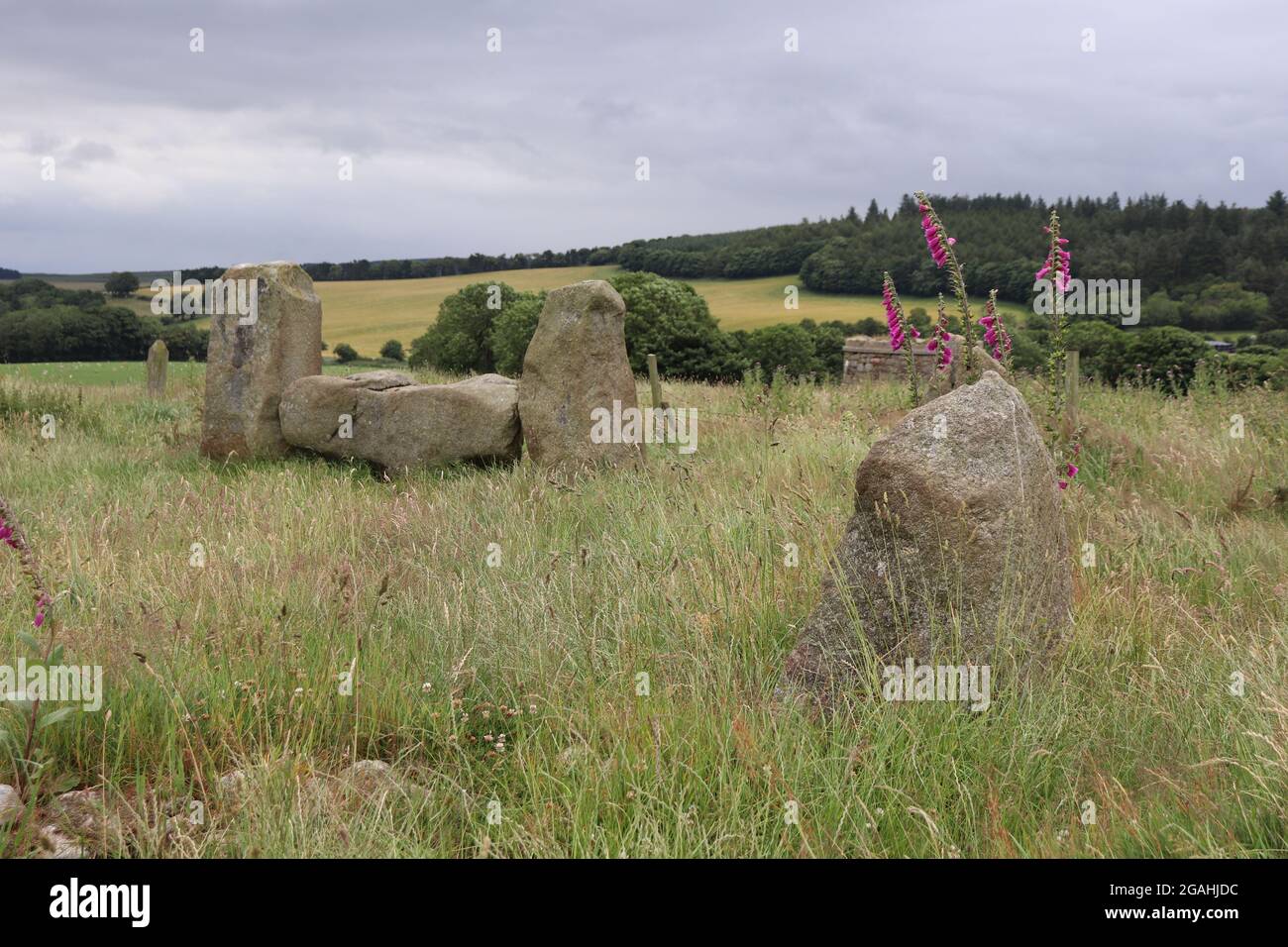 Strichen stone circle hi-res stock photography and images - Alamy