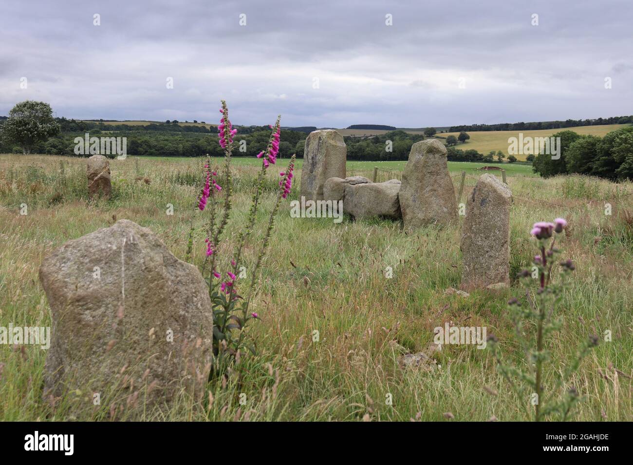 Strichen scotland hi-res stock photography and images - Alamy