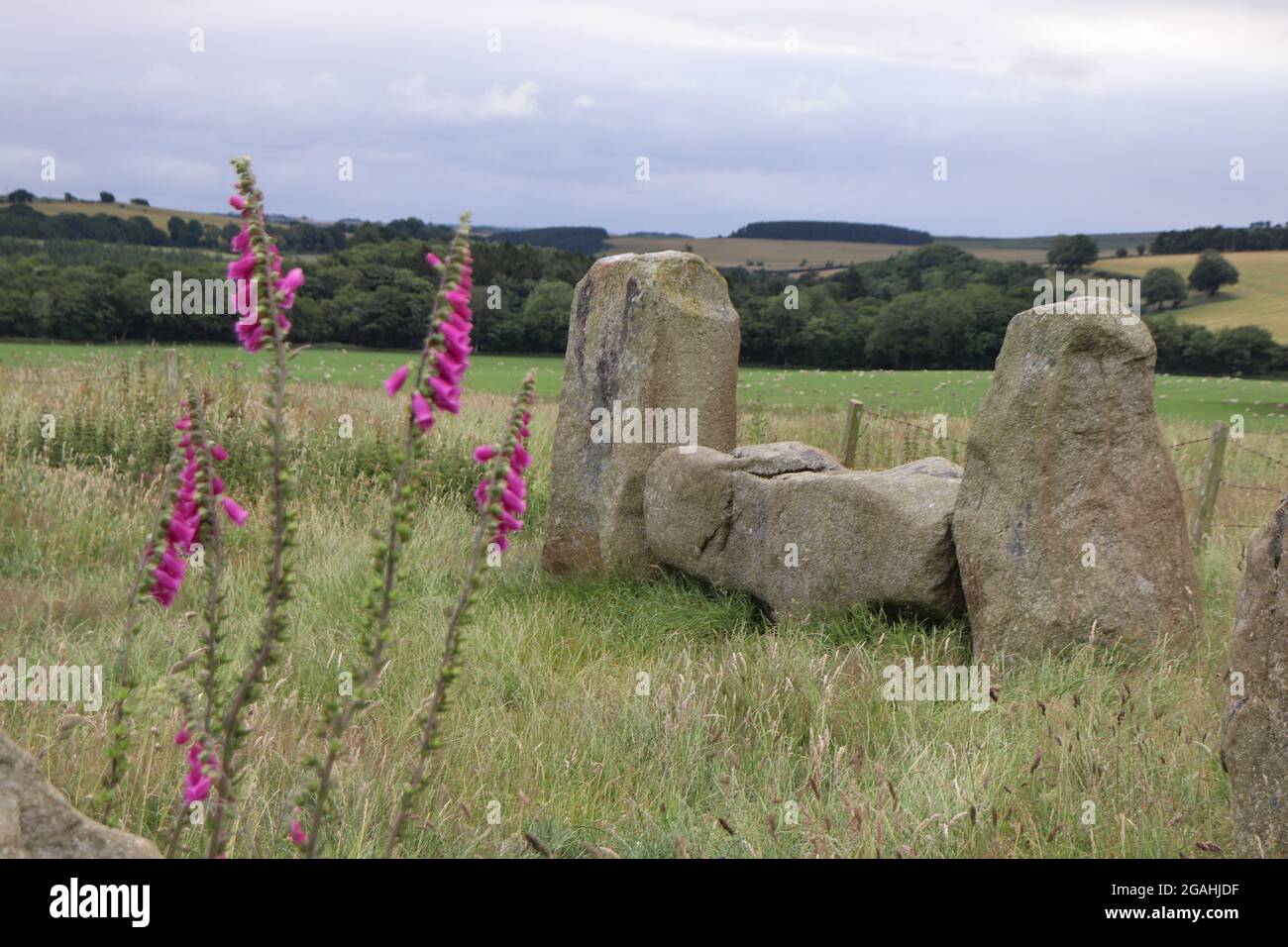 Strichen stone circle hi-res stock photography and images - Alamy
