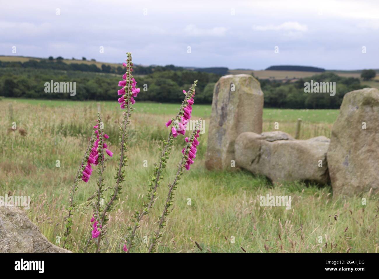Strichen scotland hi-res stock photography and images - Alamy