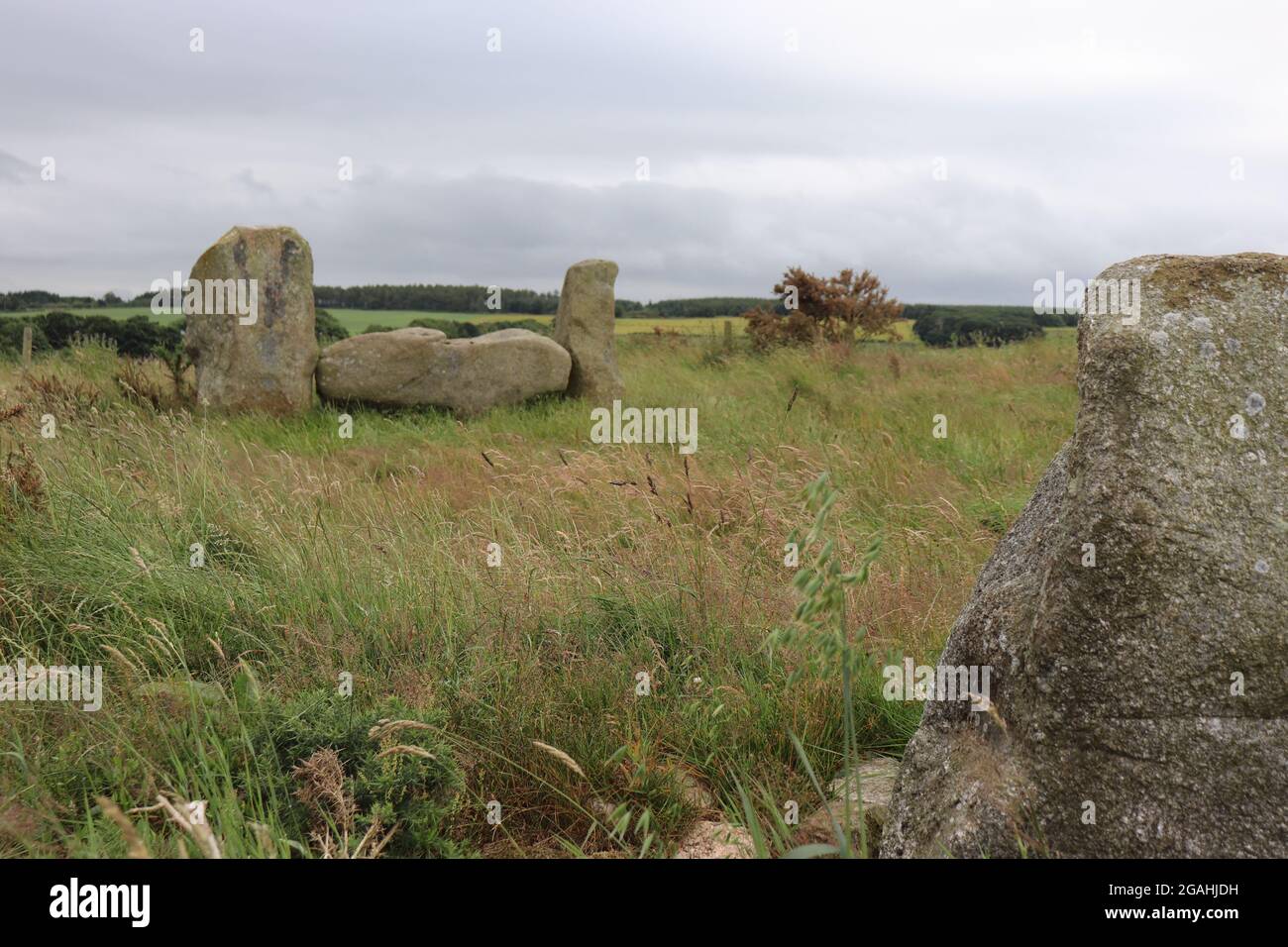 Strichen stone circle Stock Photo - Alamy