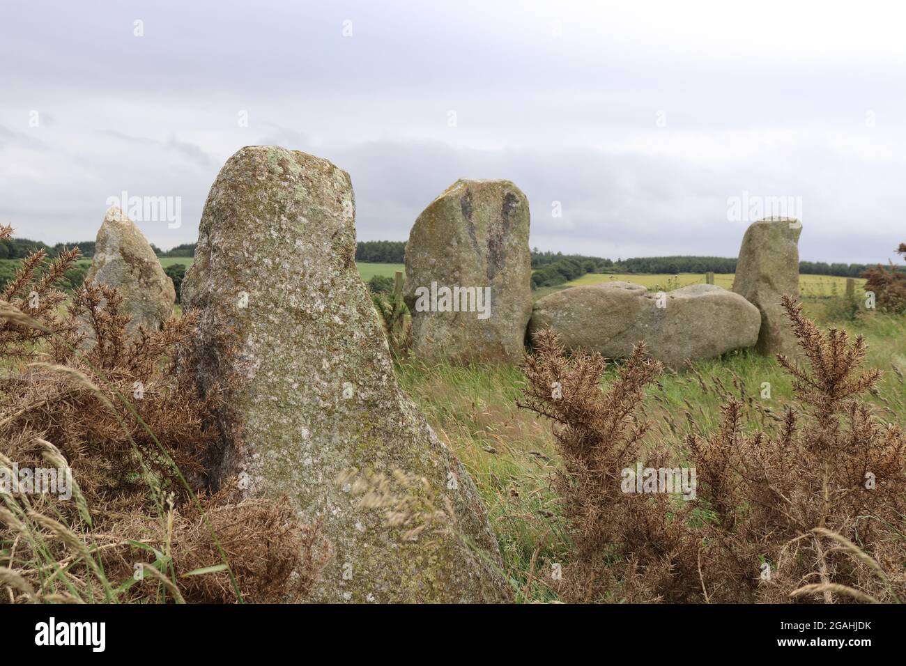 Strichen scotland hi-res stock photography and images - Alamy