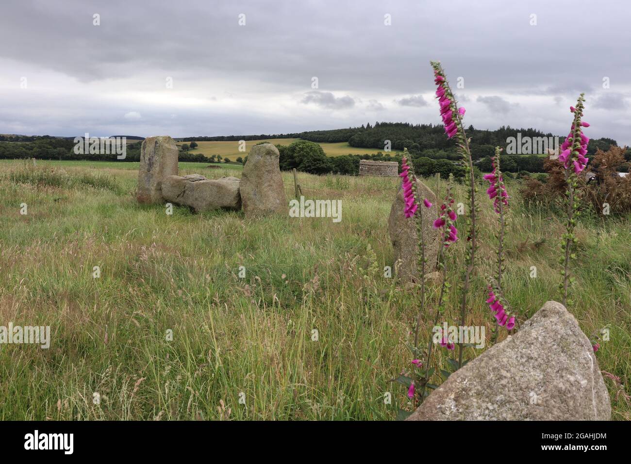 Strichen stone circle Stock Photo - Alamy
