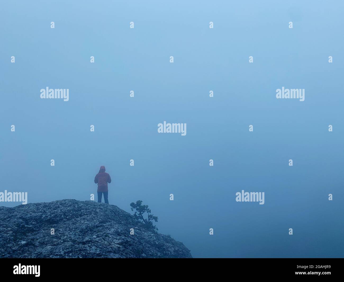 Mystic rocks and cliffs in thick fog Stock Photo - Alamy