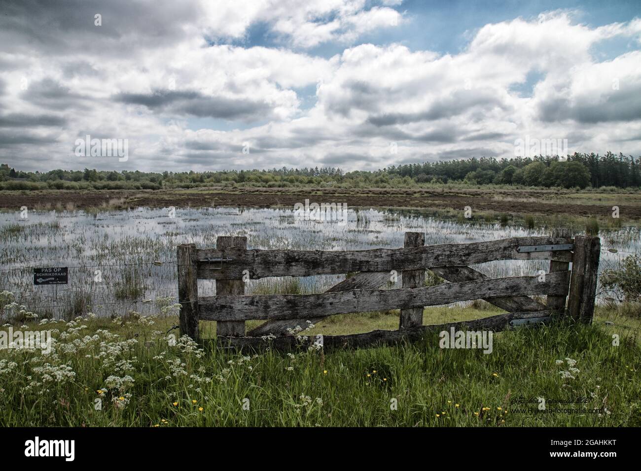A Dutch field in the north of the Netherlands. This photo is make in ...