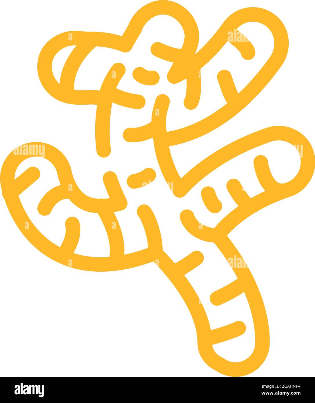 ginger root color icon vector illustration Stock Vector Image & Art - Alamy