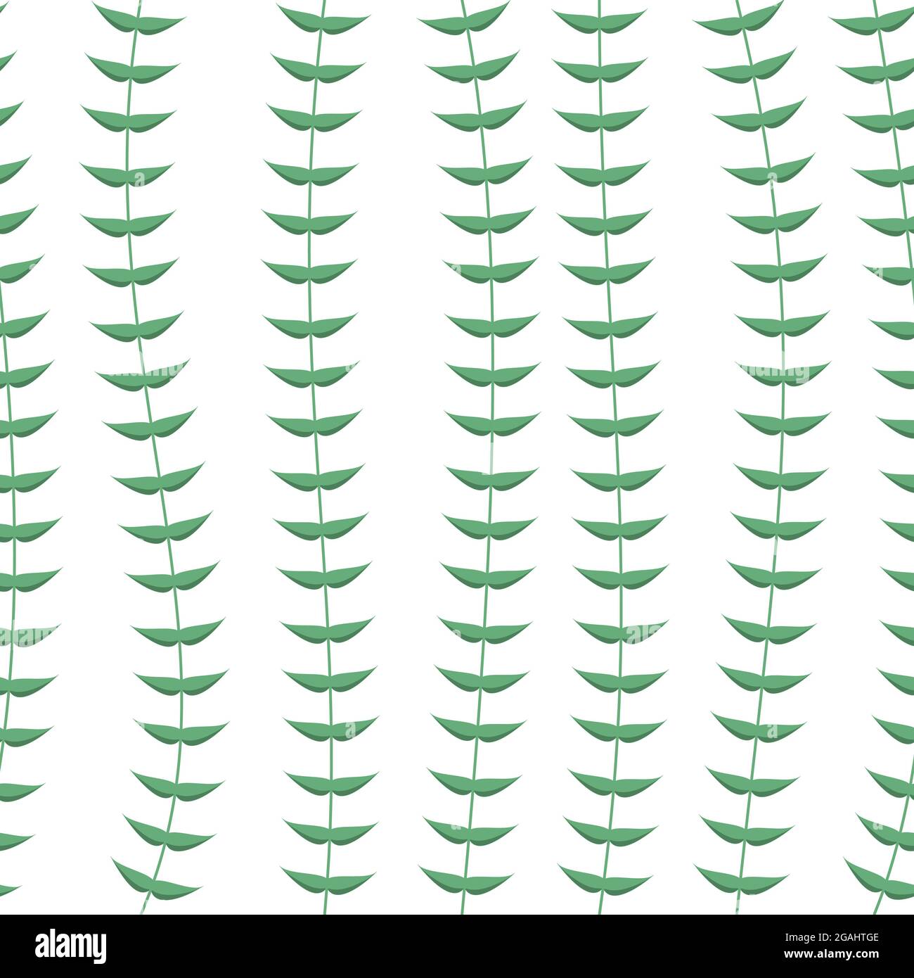 Straight branches hi-res stock photography and images - Alamy