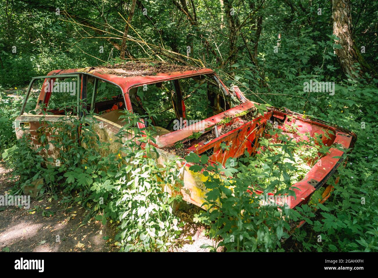 Chernobyl 1986 forest hi-res stock photography and images - Alamy