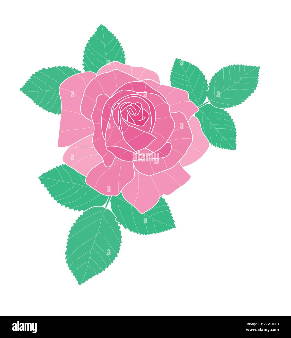 Single rose bloom with leaves vector illustration Stock Vector Image ...