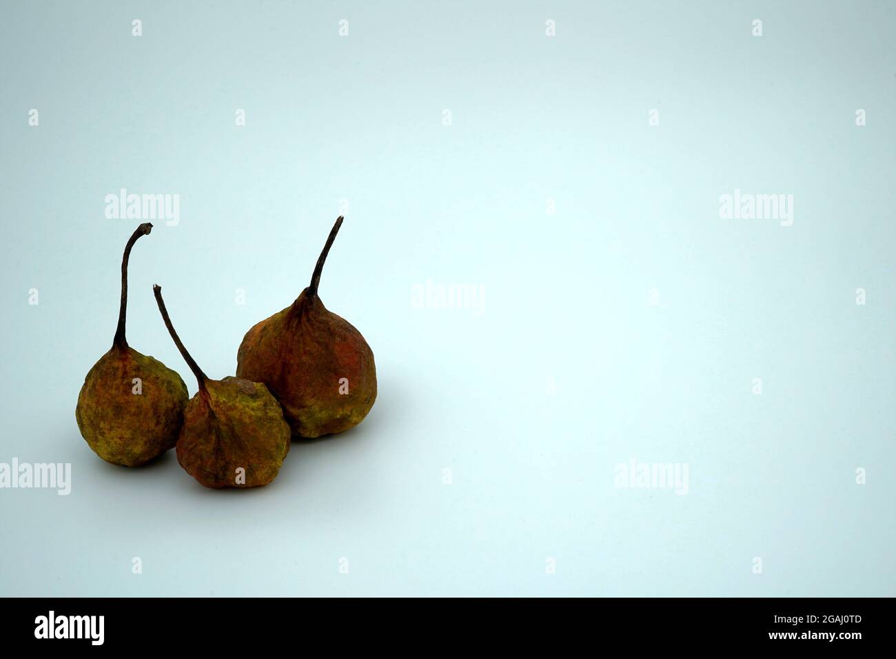 Wrinkled pears hi-res stock photography and images - Alamy