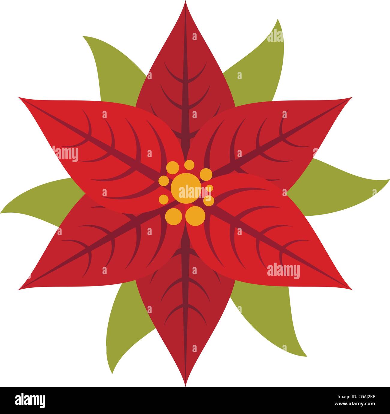 Branch poinsettia icon. Flat illustration of branch poinsettia vector ...