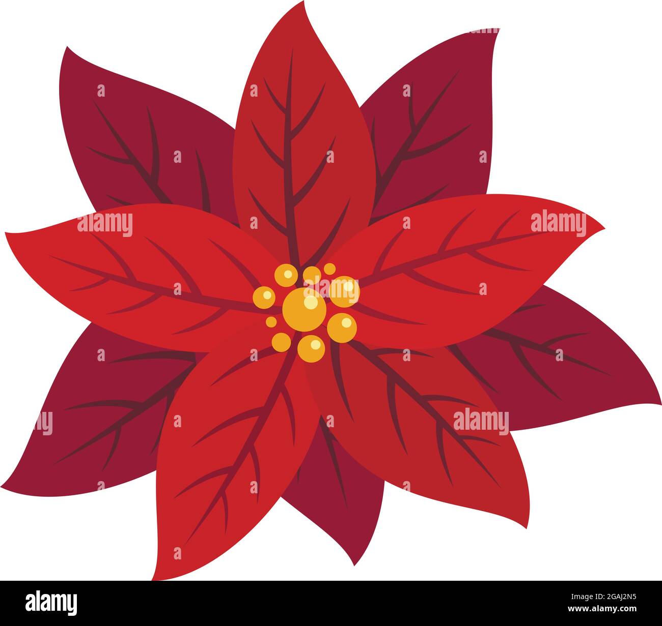 Traditional poinsettia icon. Flat illustration of traditional ...