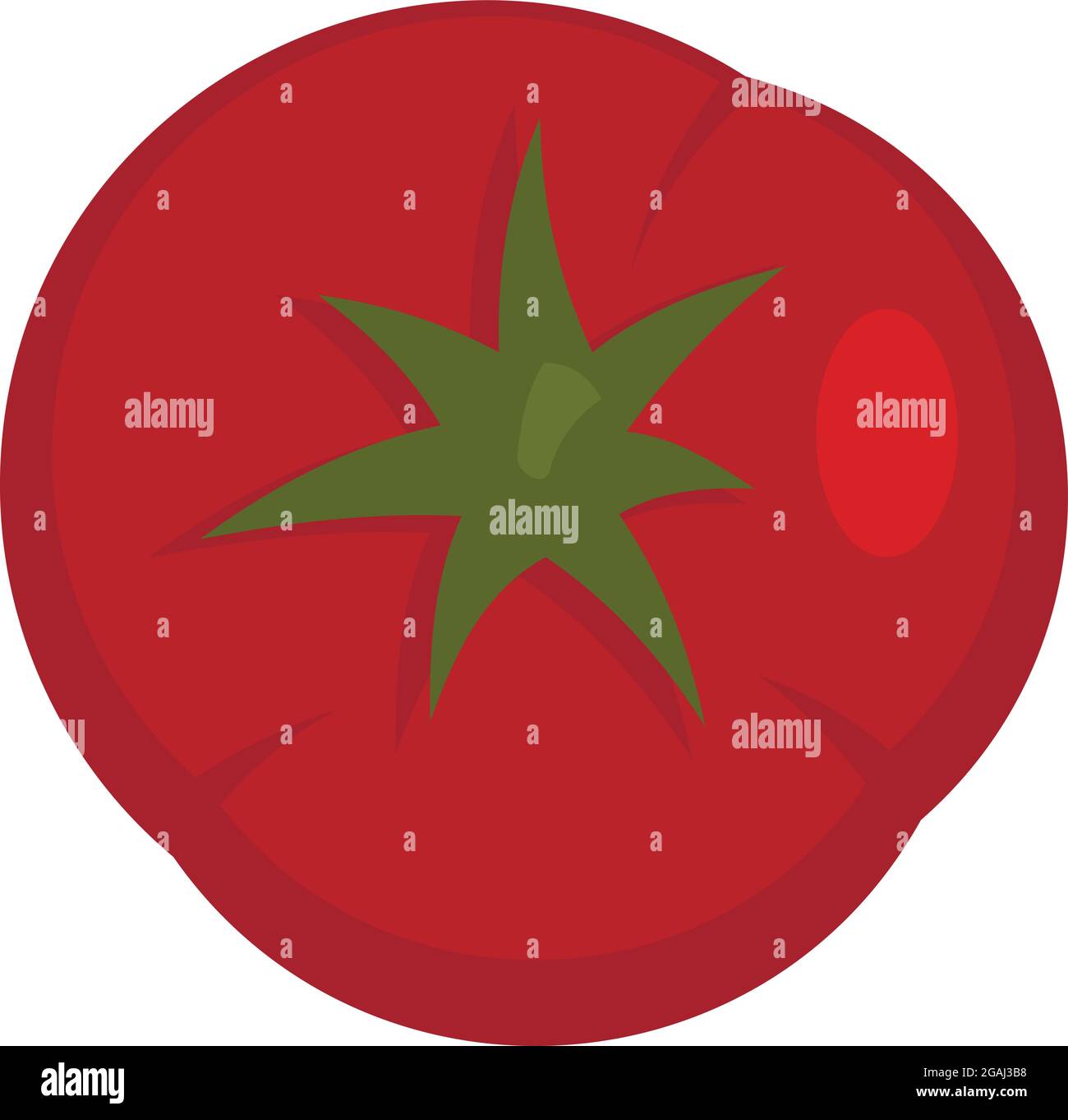 Top view tomato icon. Flat illustration of top view tomato vector icon ...