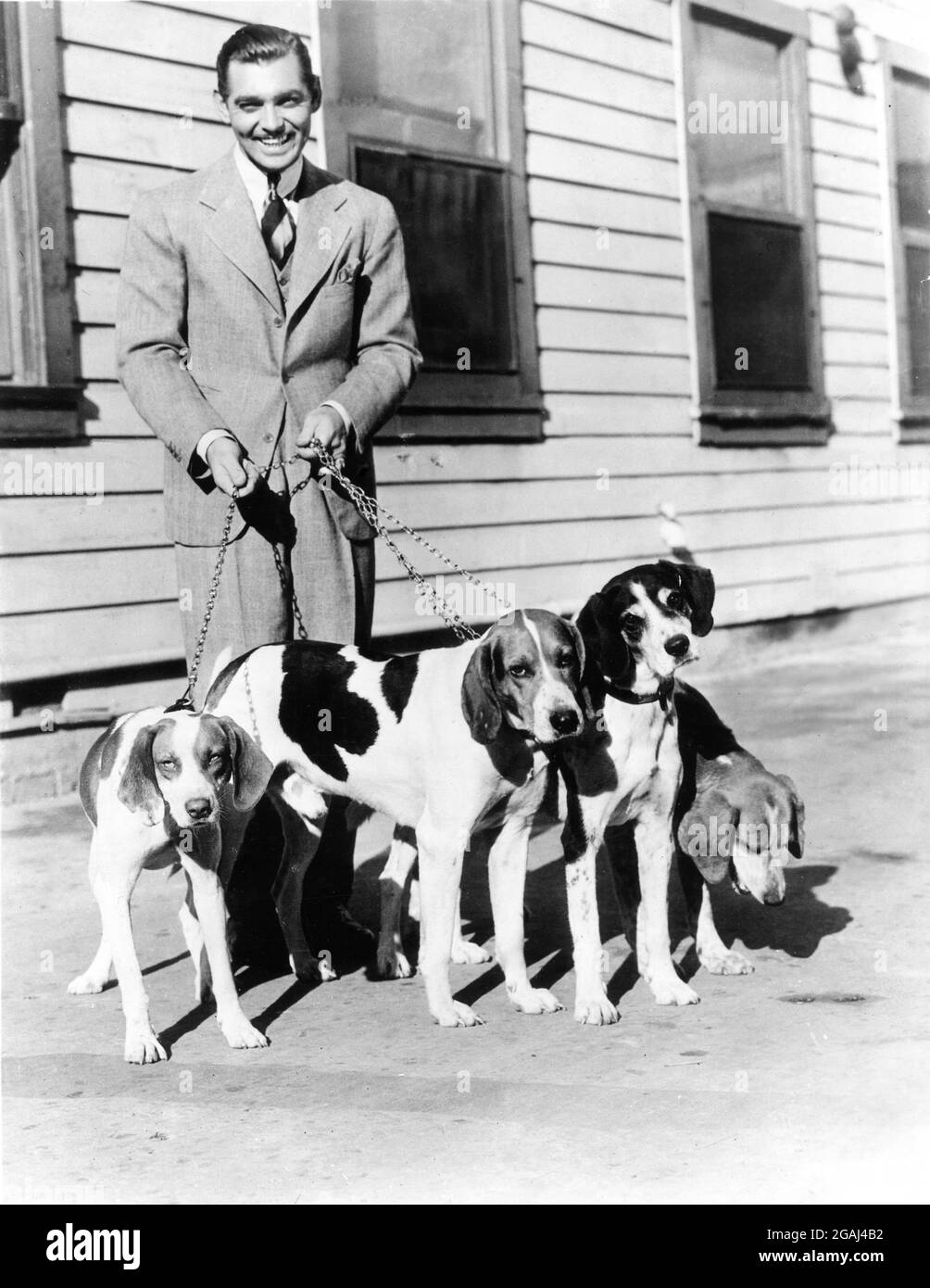 CLARK GABLE candid on MGM Studio Lot in 1934 with Fox Hound Dogs ...