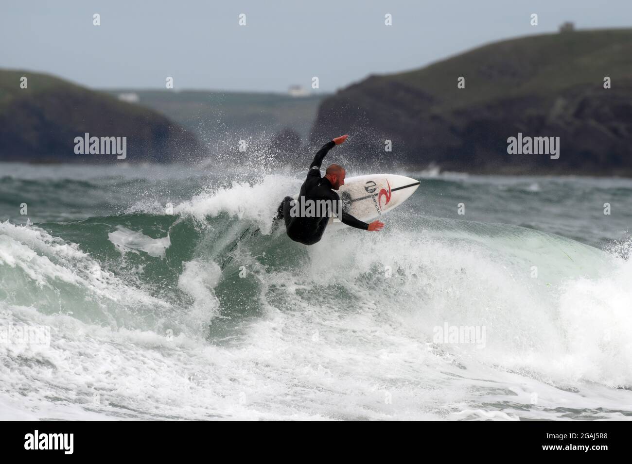 Distinctive red crest hi-res stock photography and images - Alamy