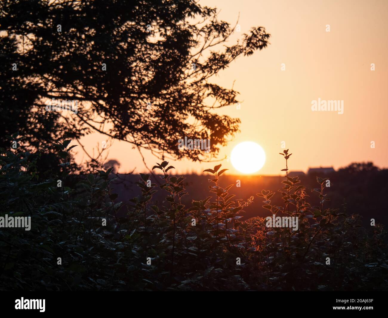 Rural sunset in Devon England Stock Photo - Alamy