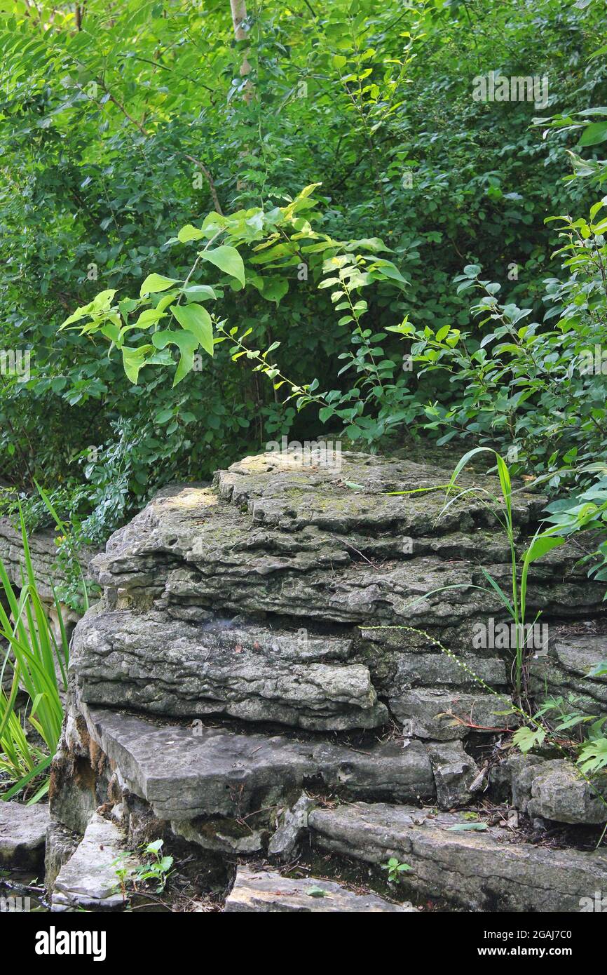 Sedimentary field stone layers of rock forming a wall at the park on a ...