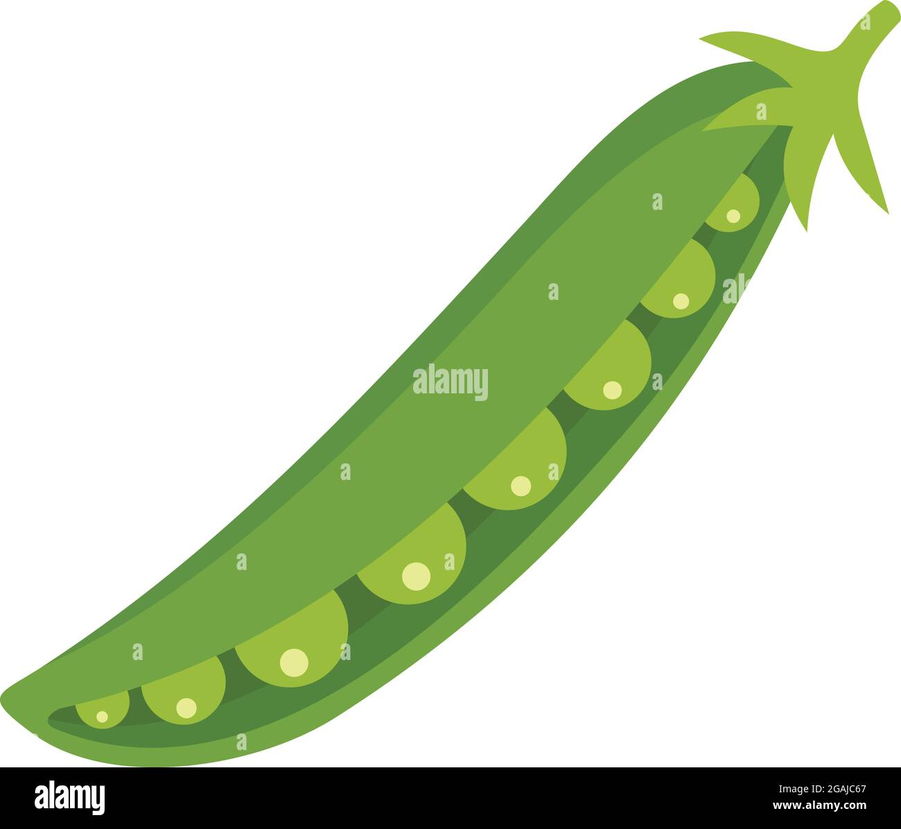 Chickpea flower Stock Vector Images - Alamy