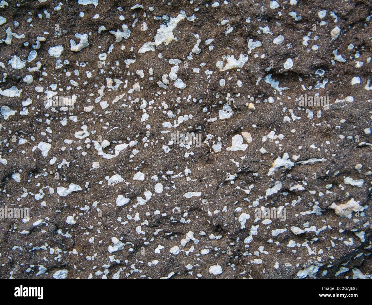 Basalt closeup close up hi-res stock photography and images - Alamy