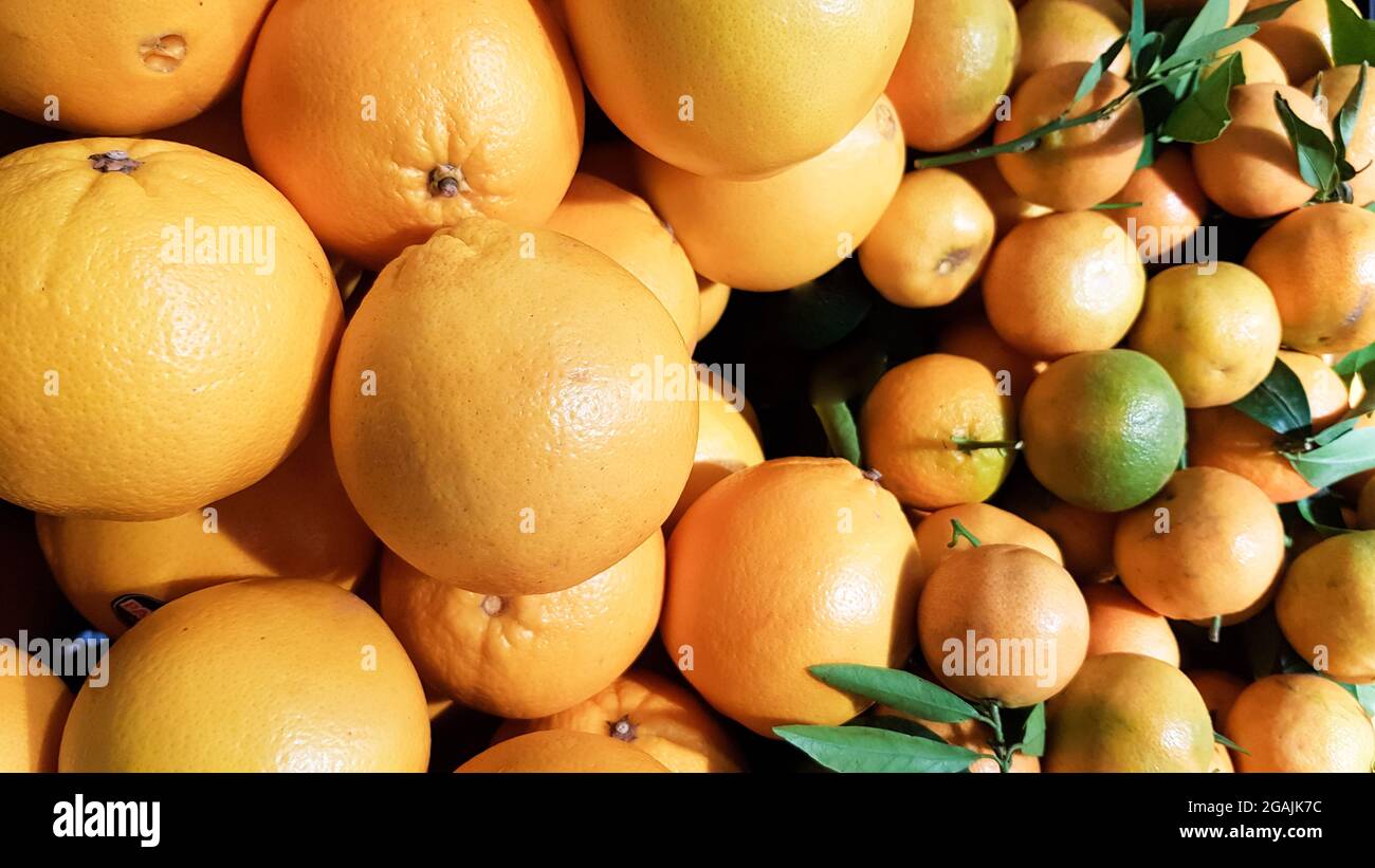 A lot of fresh yellow mandarin with green leaves in the market, fruits ...