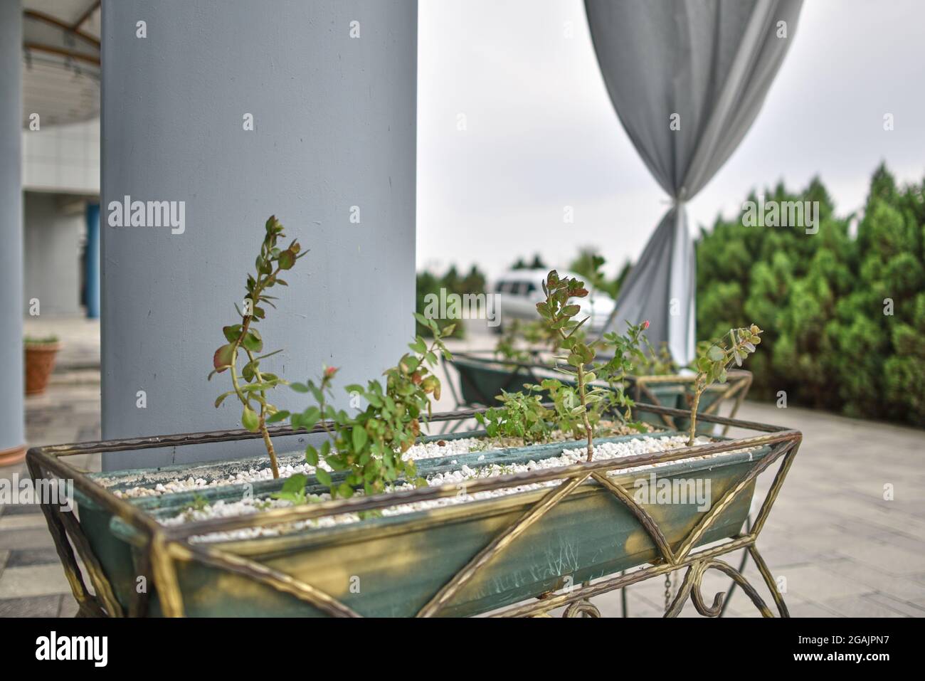 A beautiful wrought-iron flower box encloses the outdoor cafe Stock ...