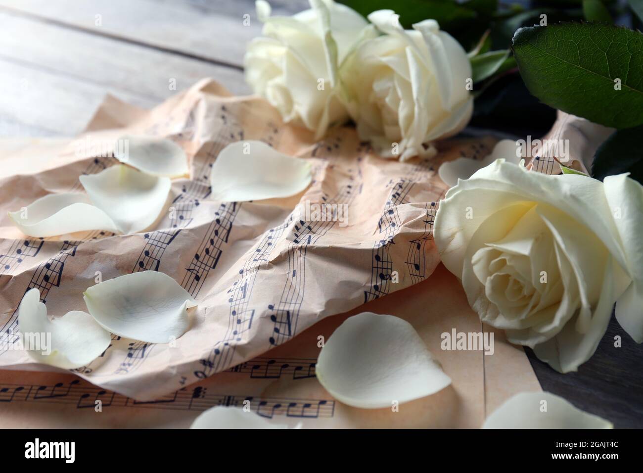 Beautiful rose on music sheets background Stock Photo - Alamy