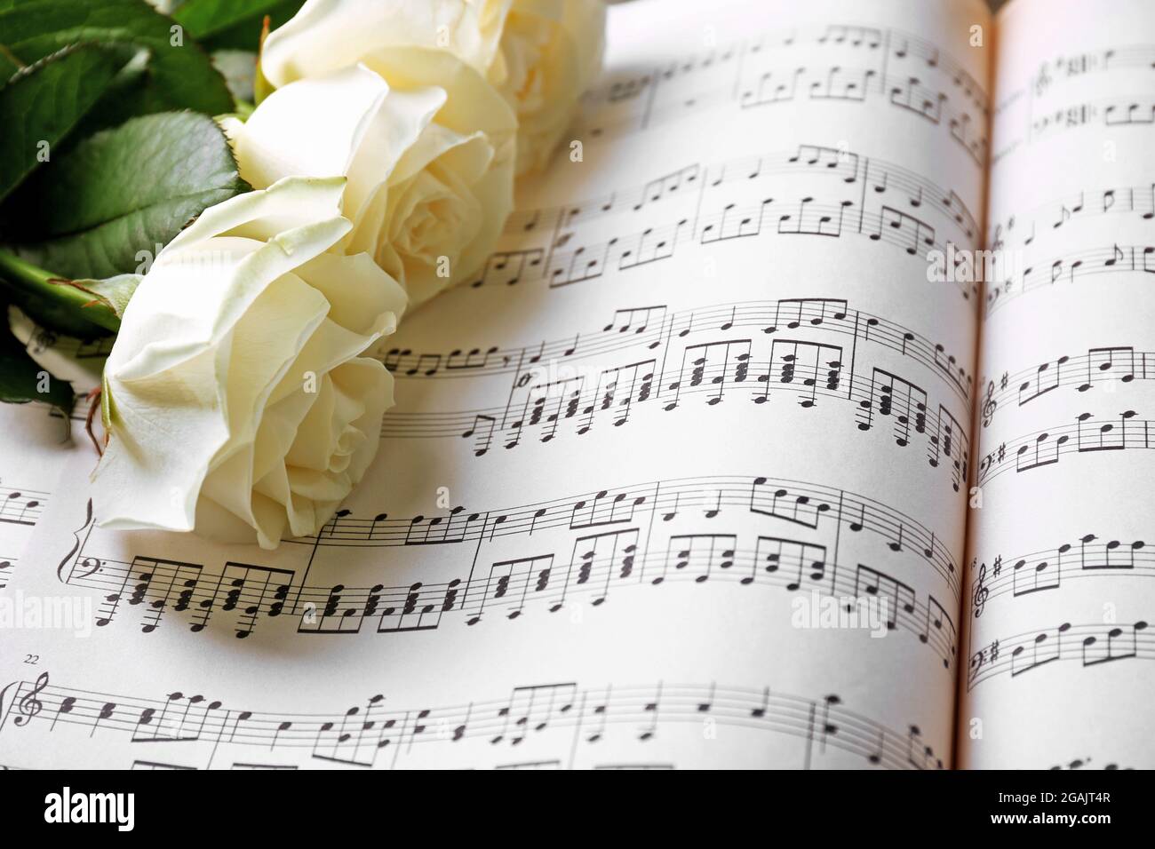 Beautiful rose on music sheets background Stock Photo - Alamy