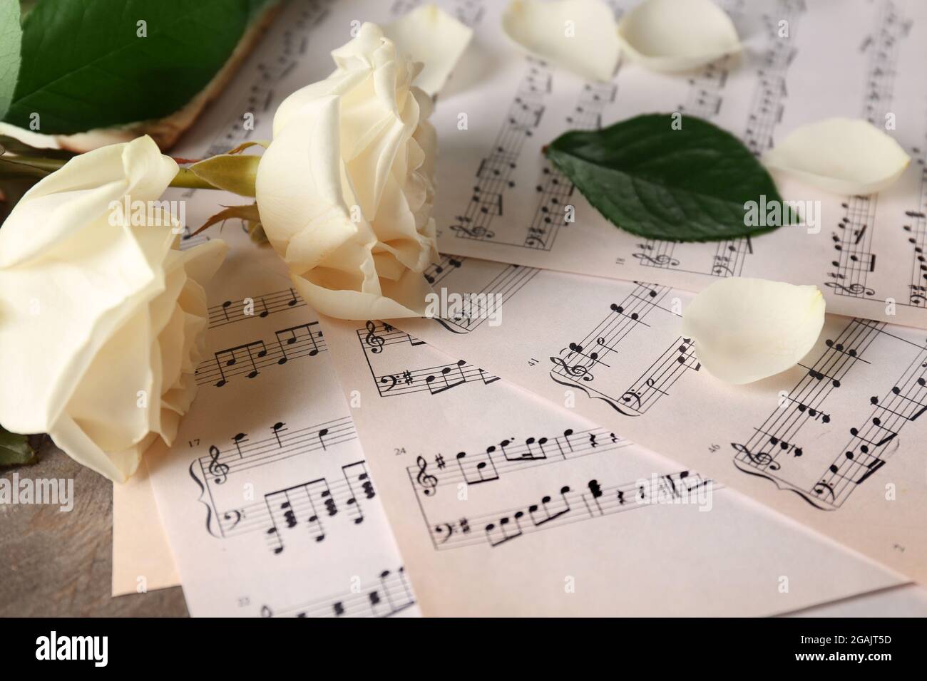 Beautiful rose on music sheets background Stock Photo - Alamy